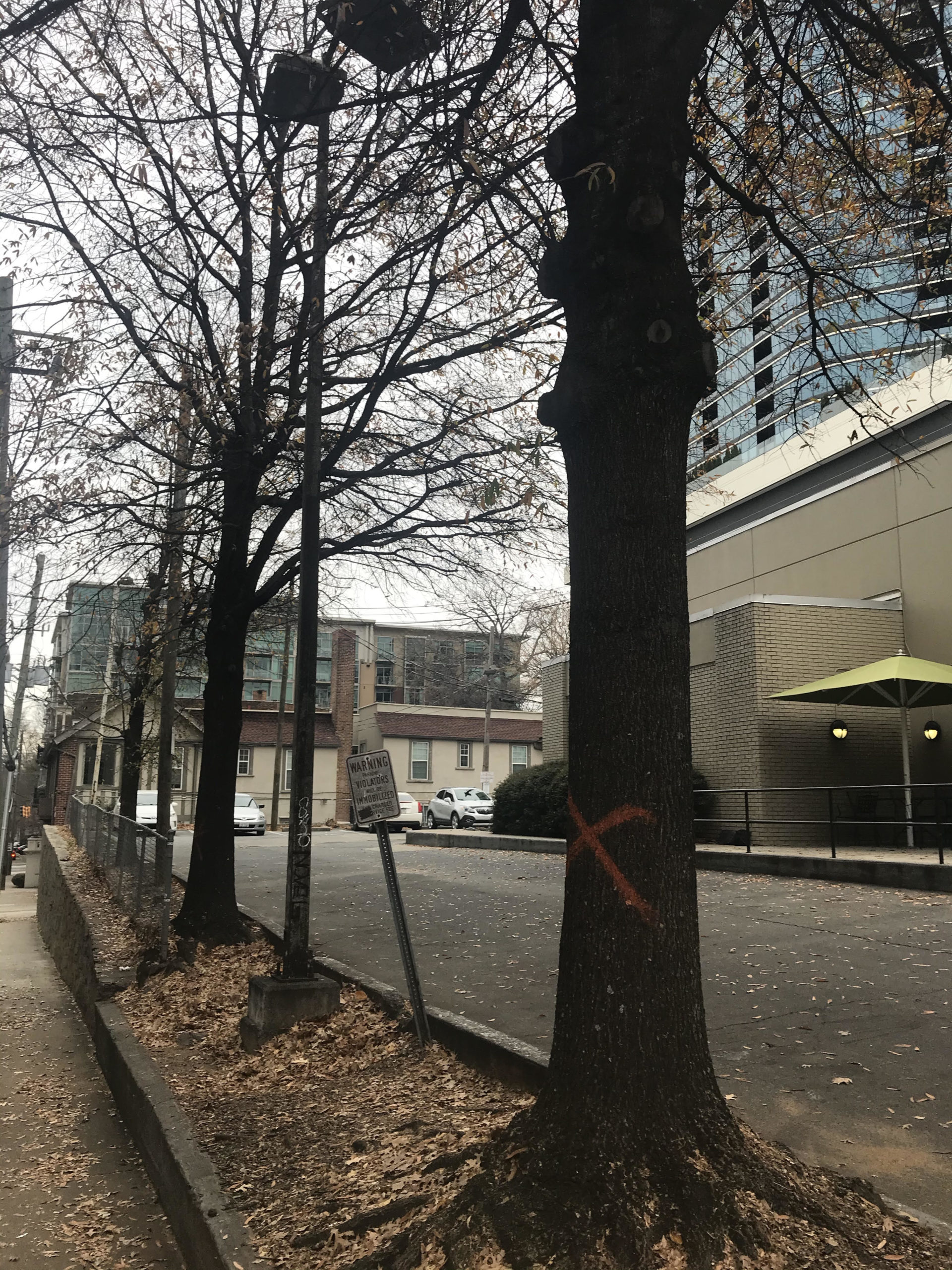 More trees are coming down in Midtown Atlanta... - SaportaReport