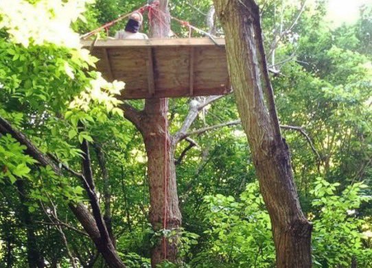 Reporter’s Notebook: Tree-sitting protesters return to training center ...