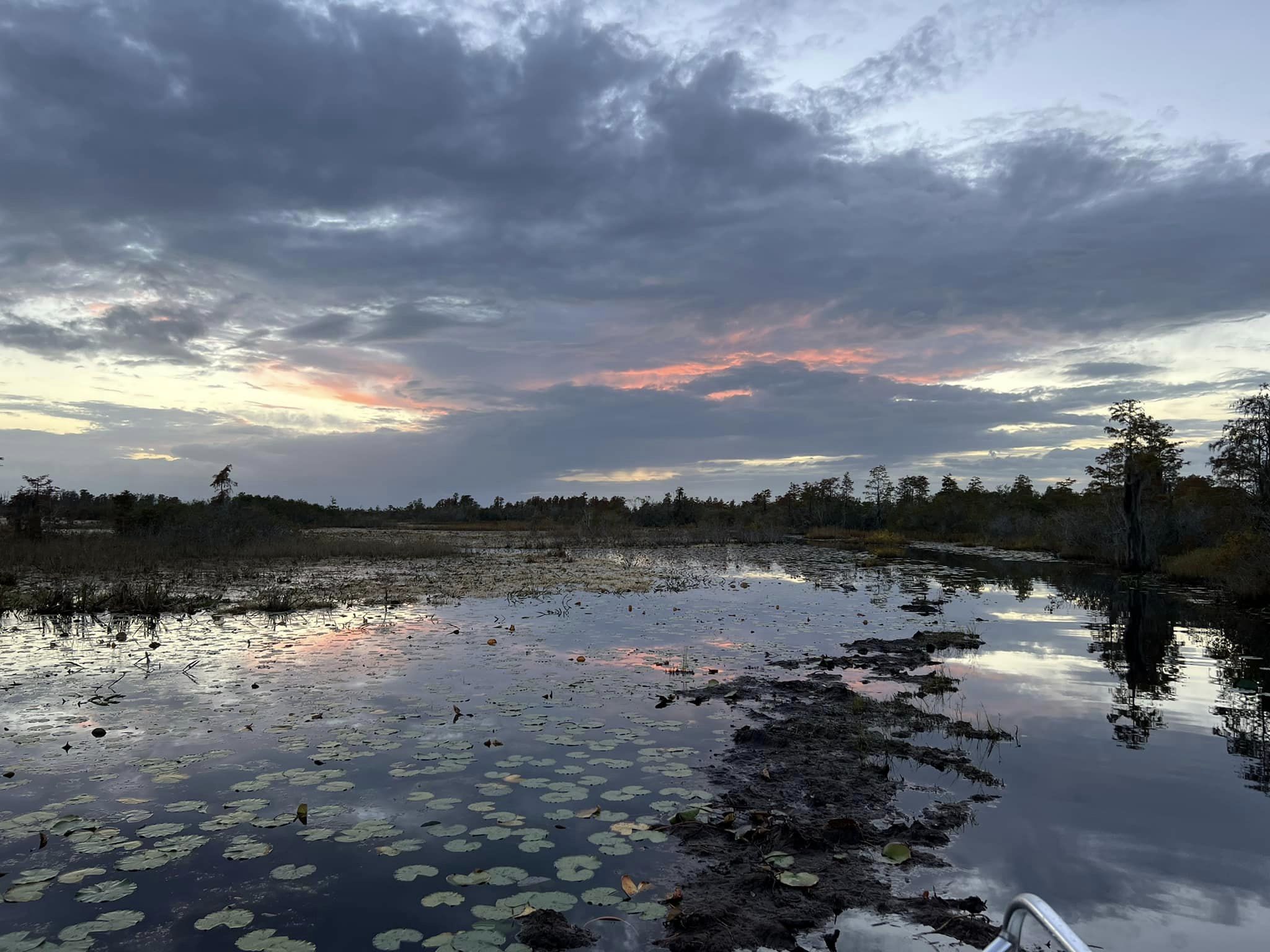 From appreciation to conservation: Nine families’ first-ever camping ...