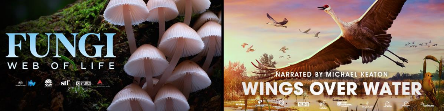 Fernbank brings two new nature films to its four-story big screen ...