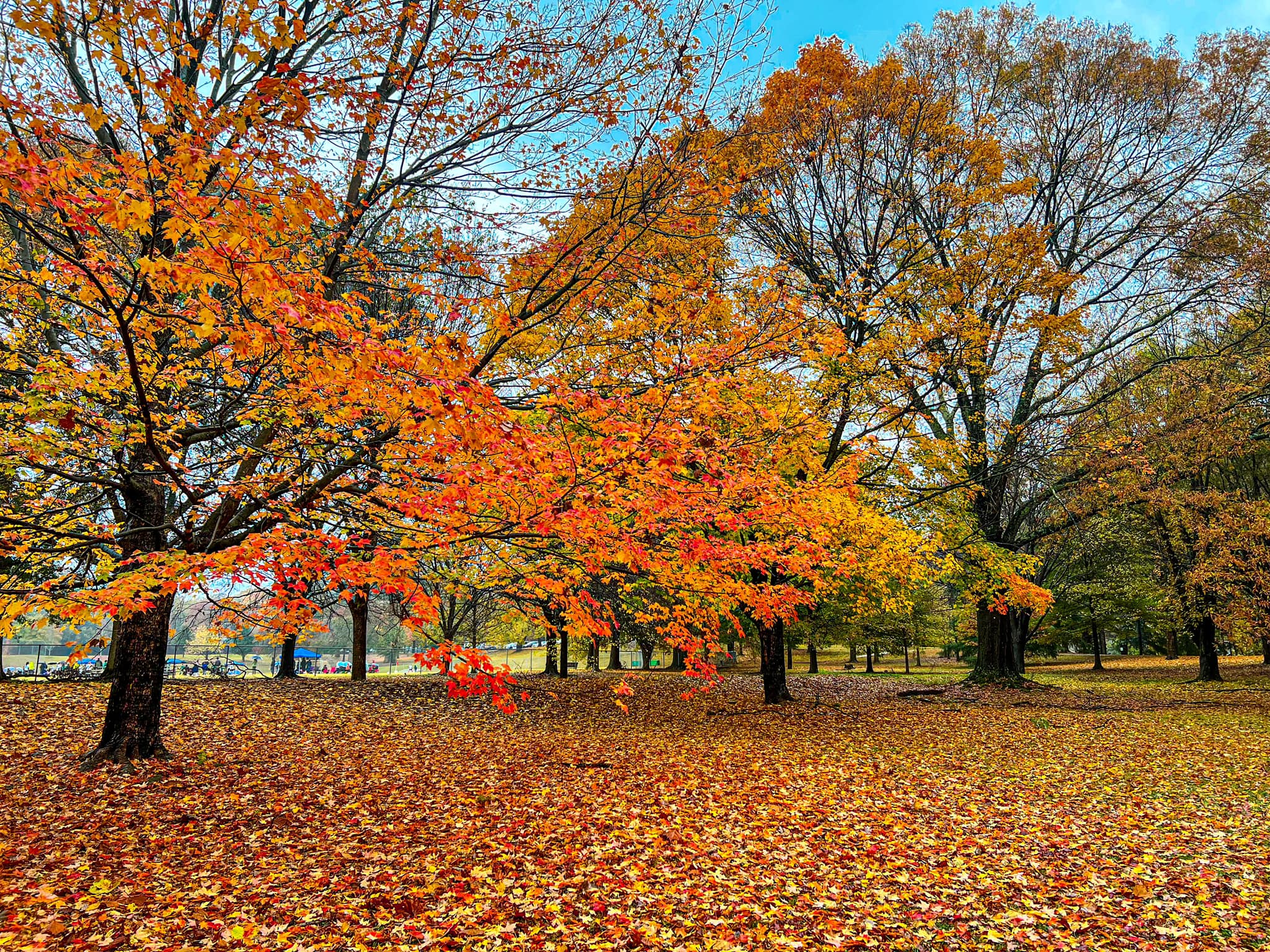 Atlanta's parks are the places to be this fall — Get outside to see ...