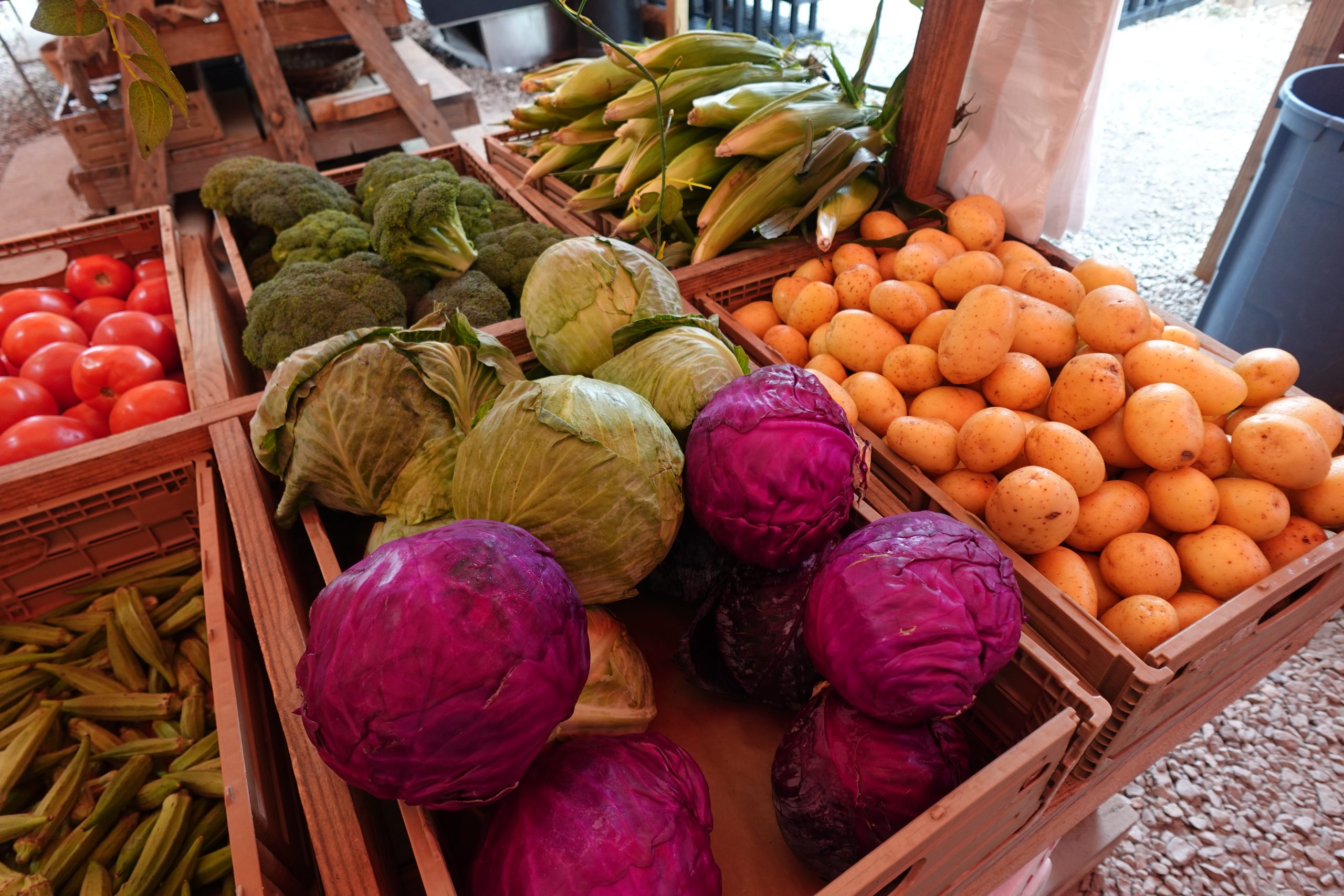 Rooted in Wellness: Addressing Nutrition Security within Metro Atlanta ...
