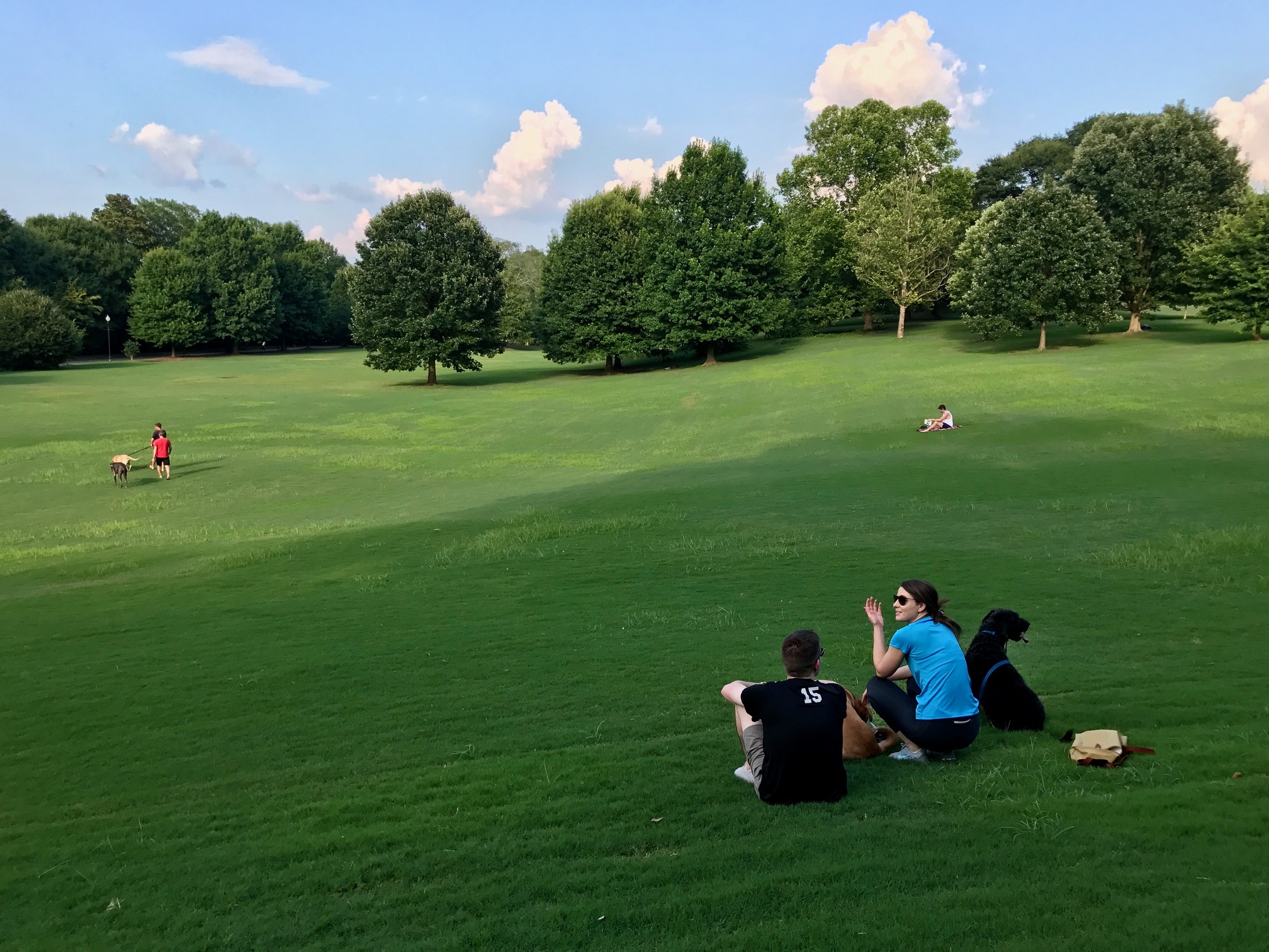 Atlanta climbs to 21st in national ParkScore ranking - SaportaReport