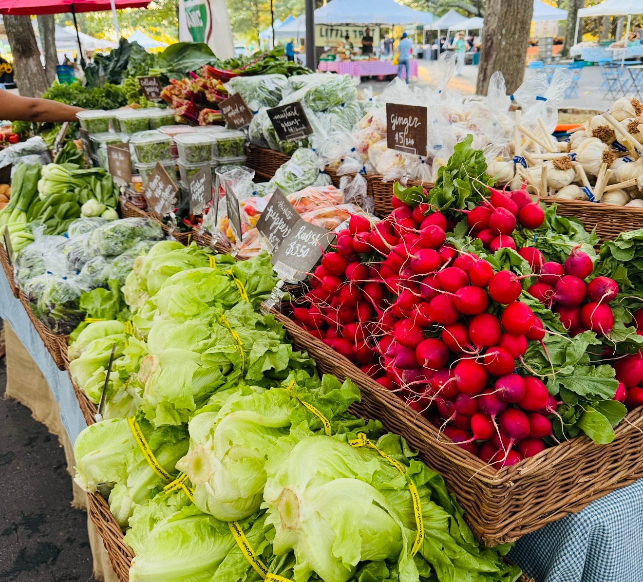 New food security collaboration forms as hunger pressures grow in metro ...